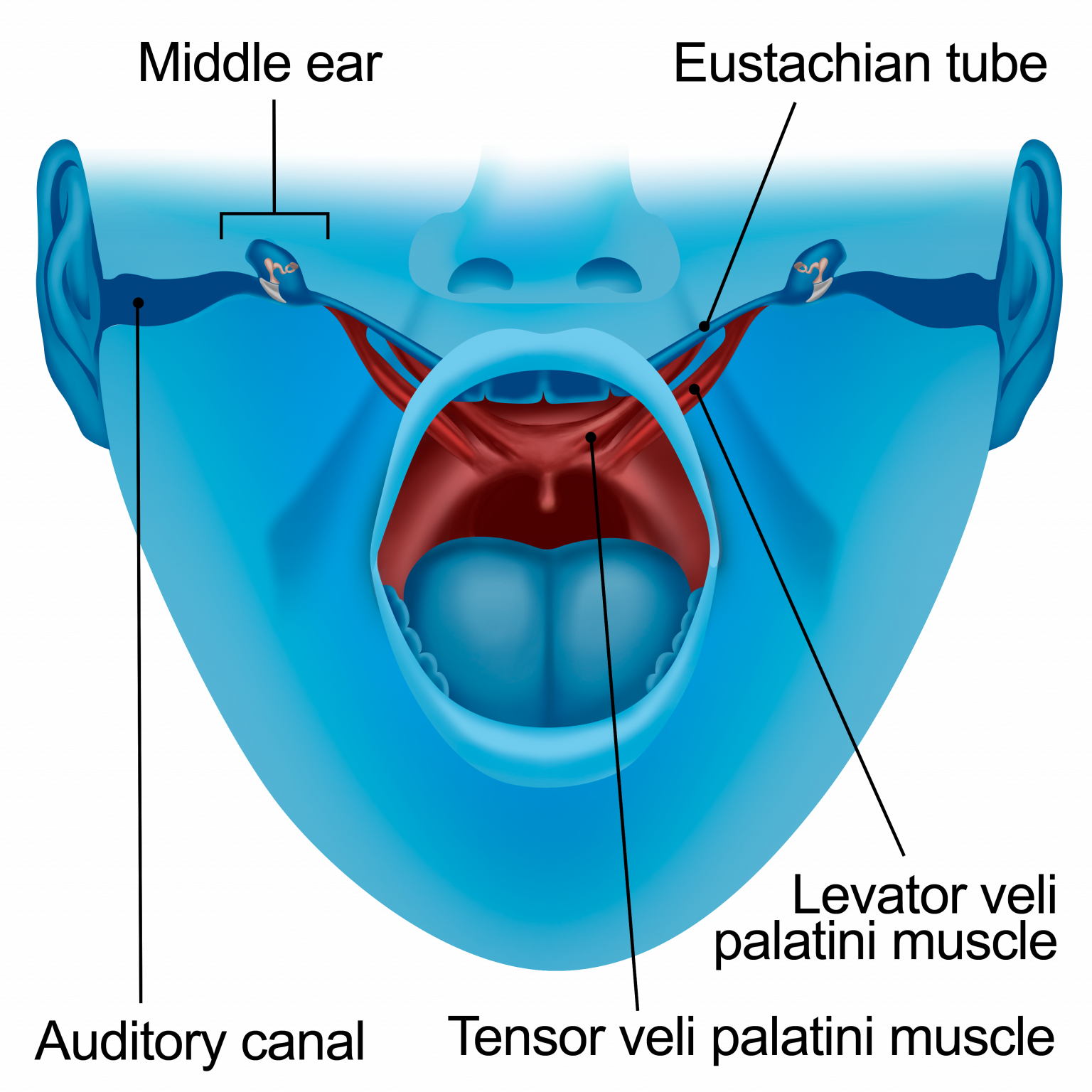What does Sound Therapy have to do with breathing? - Sound Therapy ...