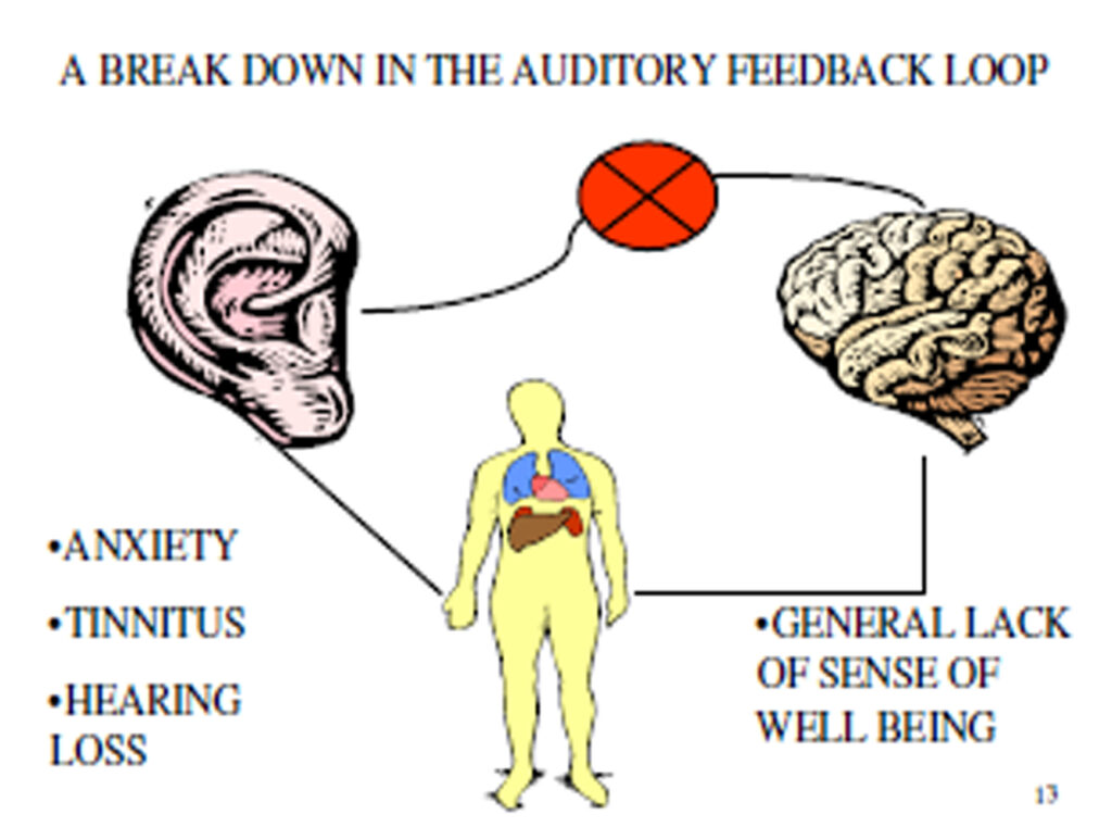 IEv6 White paper-A-The science behind Sound Therapy's Impact on Hearing ...